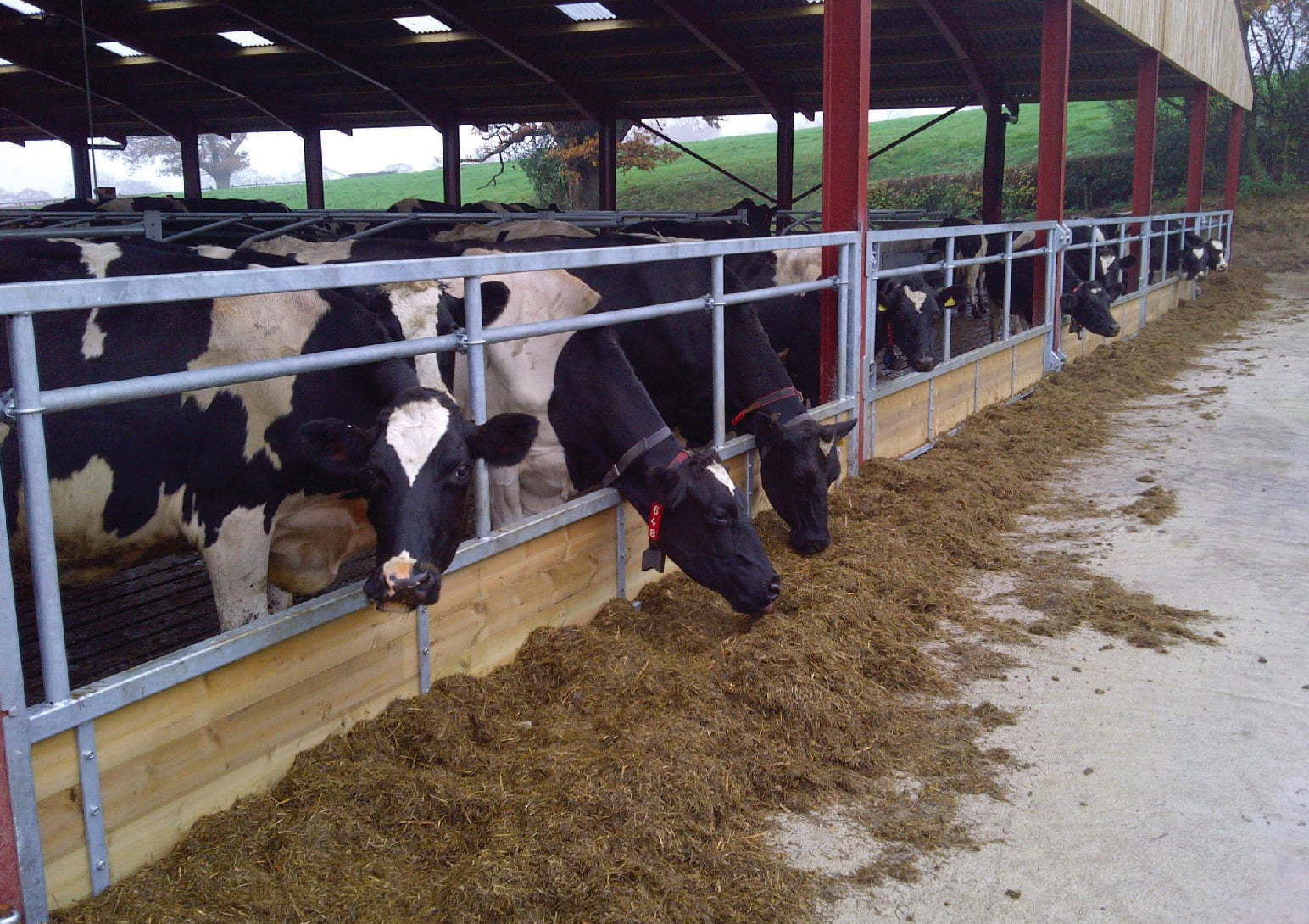 Animal feed - Best feed types for different kinds of animals